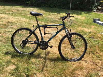 Raleigh Mountain Bike Front Boys Bikes for sale | eBay
