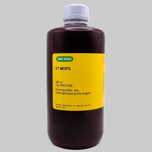 XT MOPS Running Buffer 500ml Running Buffer 1610788 Exp 3/25/26 Bio-Rad ...