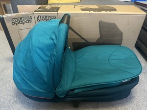 Armadillo for sale | eBay