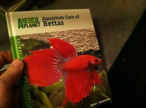 ANIMAL PLANET AQUARIUM CARE OF BETTAS BOOK BOX157 | eBay