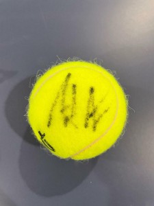 Andre Agassi Tennis Autographed Balls for sale | eBay