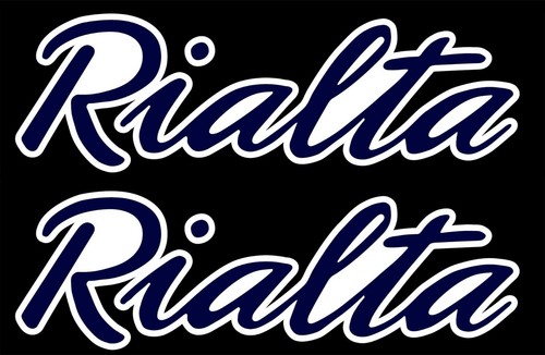2 RV WINNEBAGO RIALTA RV TRAILER CAMPER DECALS GRAPHICS -835-7 | eBay