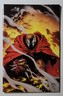 SPAWN 301 J 1:25 TODD McFARLANE INCENTIVE VIRGIN VARIANT NM | eBay