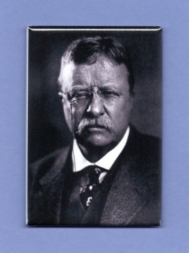 THEODORE ROOSEVELT *2X3 FRIDGE MAGNET* OFFICIAL PRESIDENTIAL PRESIDENT ...