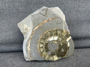 Stone Treasures Ltd | eBay Stores