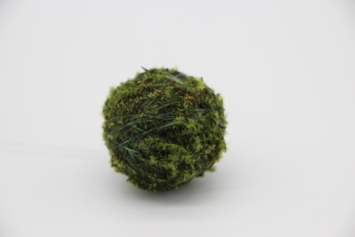 Floating Java Moss Balls Live Aquarium Plant Decoration (Buy 2 Get 1 ...