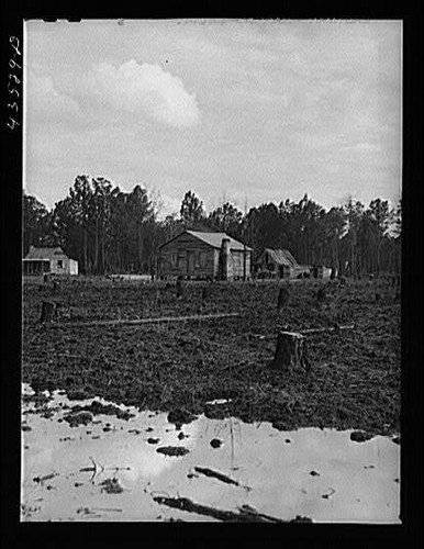 Bonneau,SC,South Carolina,Berkeley County,Farm Security Administration ...