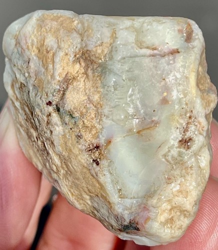 45g Coober Pedy Opal Rough Pseudomorph Fossil Clam Shell Australia | eBay