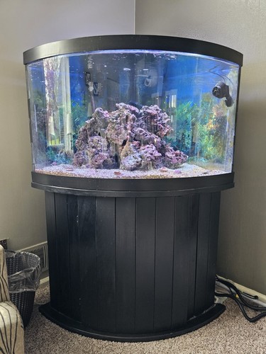 55 Gallon Corner Tank + Awesome Extras! | eBay