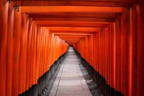 A row of torii gates at Fushimi Inari Taisha Shrine, Kyoto Japan Photo ...