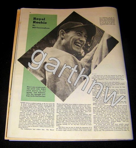 TED WILLIAMS 1939 RARE ROYAL ROOKIE BOSTON RED SOX PHOTO FEATURE GREAT ...
