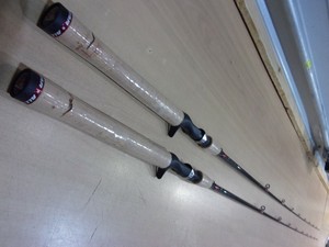 All Star Graphite Rod Casting Fishing Rods & Poles 1 Pieces for sale | eBay