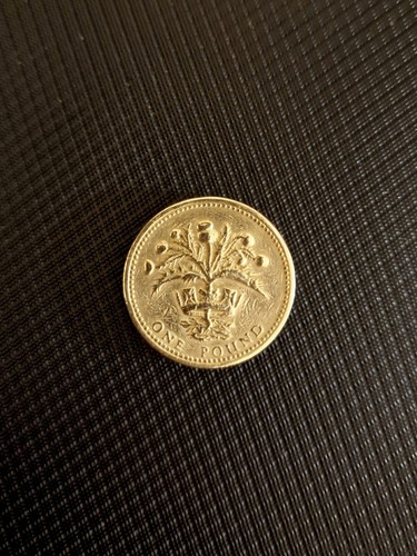 rare 1 pound coin | eBay UK