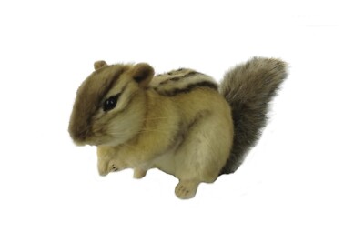 Chipmunk Toys in Branded Soft Toys for sale | eBay UK