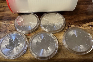 Hudson Coins | eBay Stores