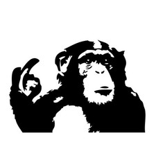 Finger Affe günstig kaufen | eBay