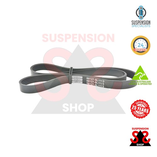 V-Ribbed Belt Suit RENAULT Kangoo 1.6 16V 8200841132 | eBay Australia