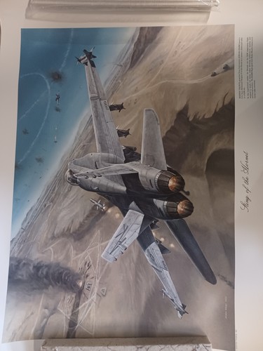 "Sting Of The Hornet" 1985 Mark Waki Unframed Print | eBay