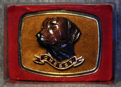 Vintage Rare 1979 *Chessy* Dog Breed Brasstone Belt Buckle - Brand New ...