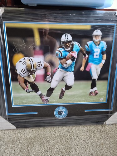 DeAngelo Williams Autographed 16×20 Framed Picture. Carolina panthers ...