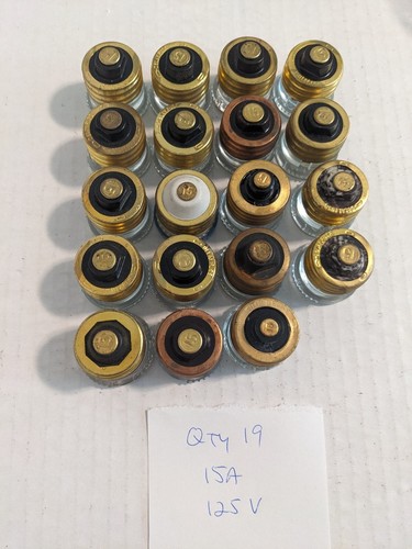 Vintage Lot of 19 - 15 A 125V Glass Screw in Fuses - Variety - Tested ...