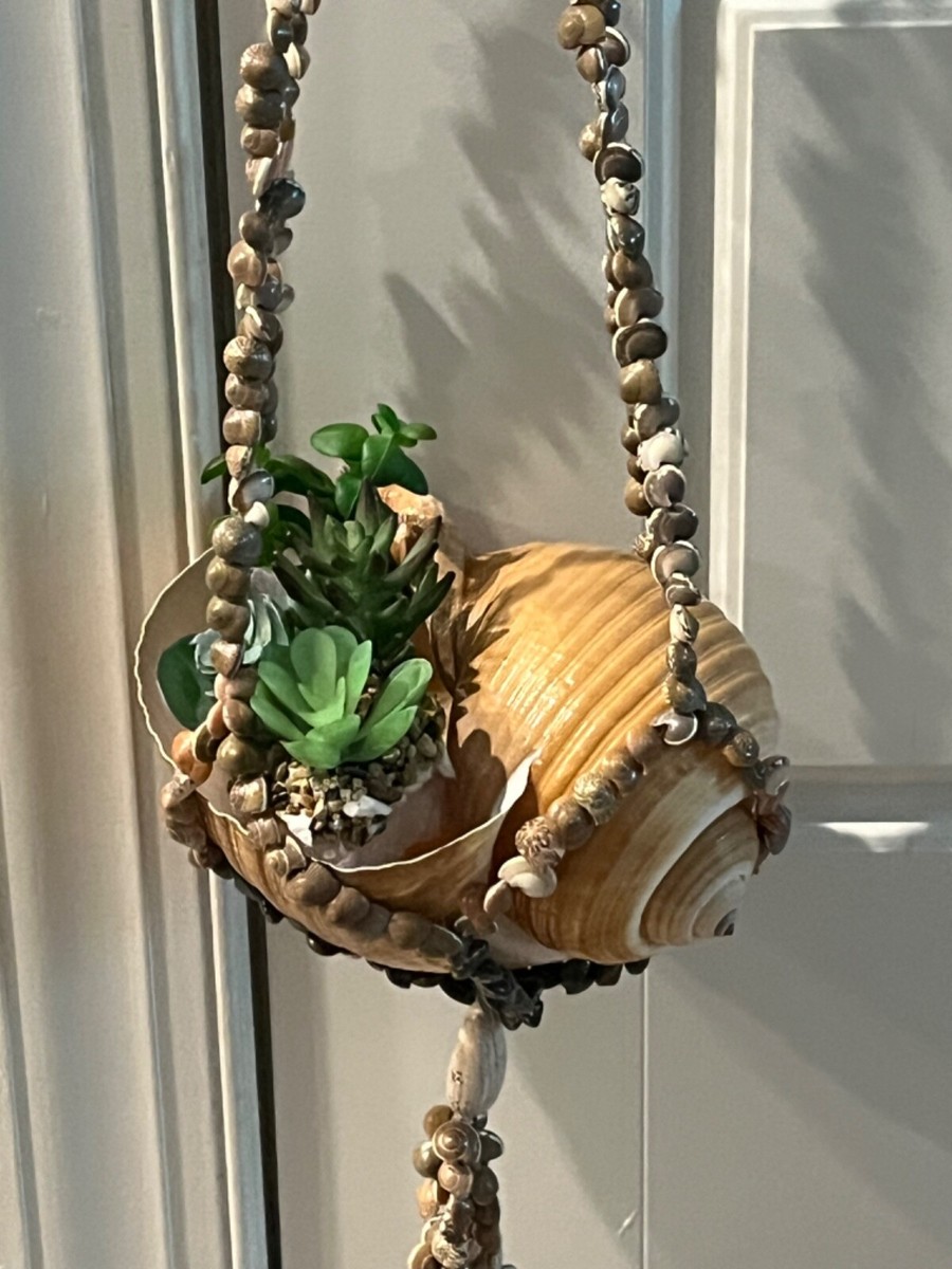 Sea Shell Plant Hanger