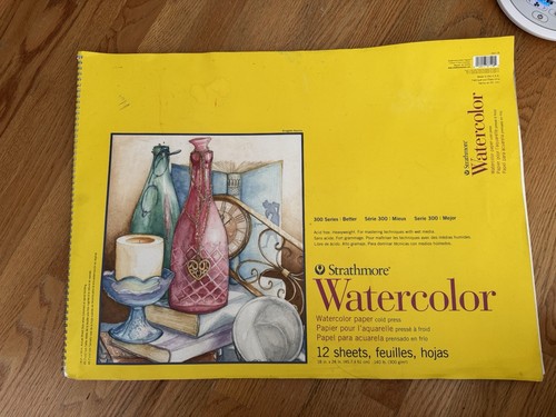 Strathmore Water Color 300 Series (18 X 24in) 12 Sheet | eBay