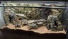 Aquarium Stone Seiryu Rock Natural Fish Tank Aquascape Decoration GREY ...