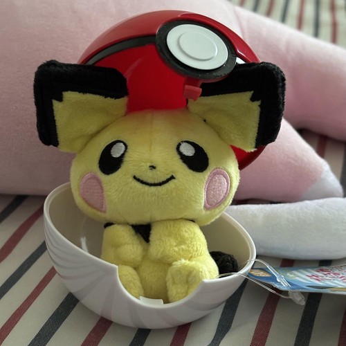 Pichu Pokemon Petit Plush Toy In Monster Ball Case Vol.2 | eBay