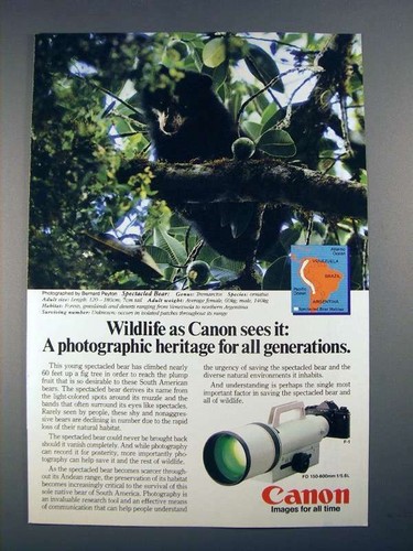 1985 Canon F-1 Camera Ad w/ Spectacled Bear | eBay