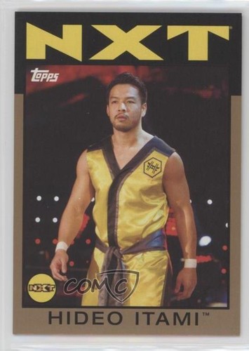 2016 Topps Heritage WWE NXT Tag Team Championship Bronze /99 Hideo ...