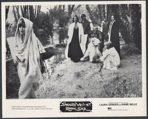 Smooth Velvet Raw Silk ’76 LAURA GEMSER GABRIELE TINTI | eBay