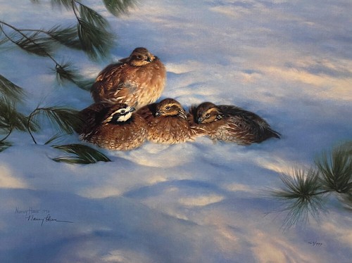Nancy Howe-Nestled In - 999 S/N Limited Edition Paper Print size 20-3/4 ...