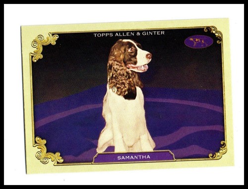 2024 Topps Allen Ginter Samantha Stars of the Show Westminster Kennel ...