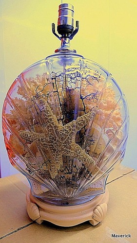 RARE Collectible SEA SHELL Table Lamp contains extinctStarfish/Sand ...