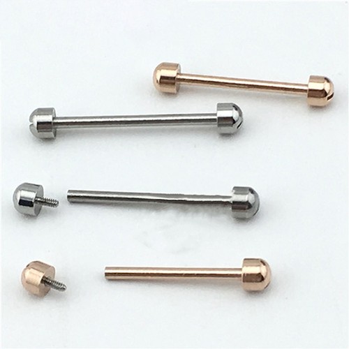Watch Band Screw Pin Bar for Wristwatch Strap Watch Case Lug Link Rod ...
