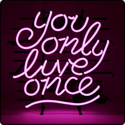 New You Only Live Once 17"x17" Neon Sign Lamp Bar With Dimmer | eBay