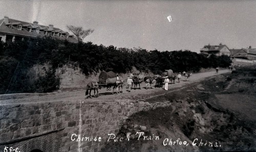VINTAGE PHOTO;CHINESE PACK TRAIN; CHEFOO, CHINA;CIRCA 1912 | eBay
