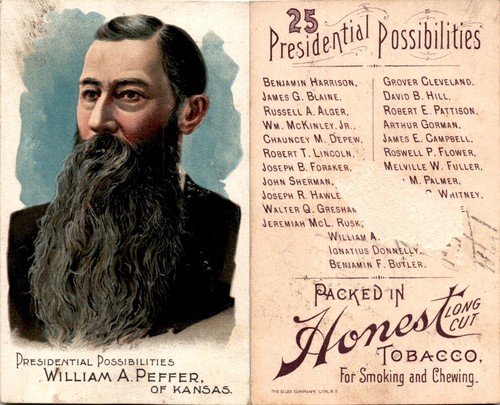 N124 Duke, Presidential Possibilities, 1888, William Peffer, Kansas | eBay
