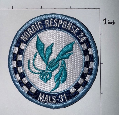 USMC Marine Aviation Logistics Squadron 31 MALS-31 Patch | eBay