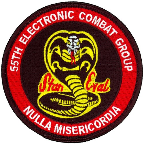 USAF 55th ELECTRONIC COMBAT GROUP STAN/EVAL PATCH | eBay