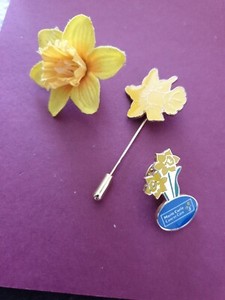 marie curie daffodil products for sale | eBay