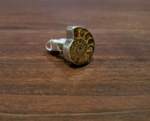 Exceptional Oddities | eBay Stores