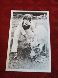 Alberto Records and Lamps | eBay Stores