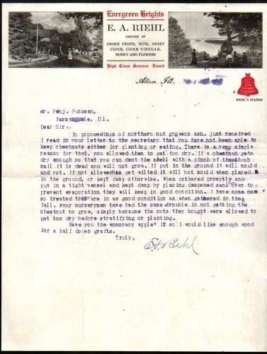 E A Riehl - Energreen Heights c1900 Alton IL - Fruits & Nuts - Letter ...