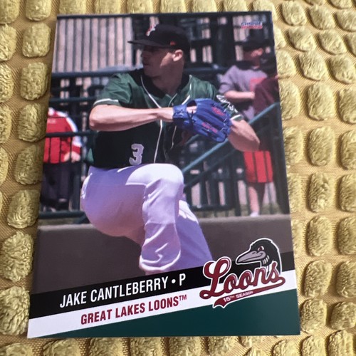 2022 Choice, Great Lakes Loons - JAKE CANTLEBERRY | eBay