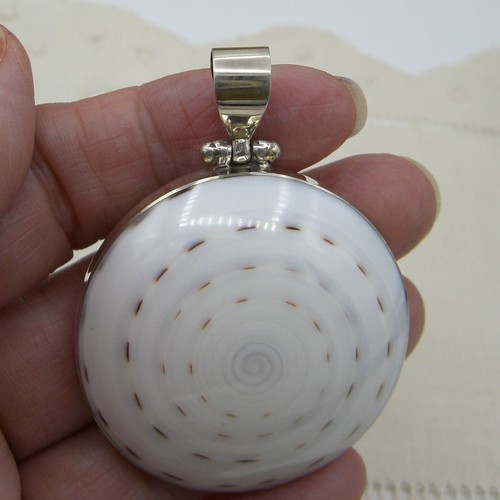 Sterling Shell Pendant, Large Hinged Sterling Bail & Bezel, 2", Old/New ...
