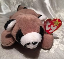 Ringo the Raccoon - Beanie Babies - Beaniepedia