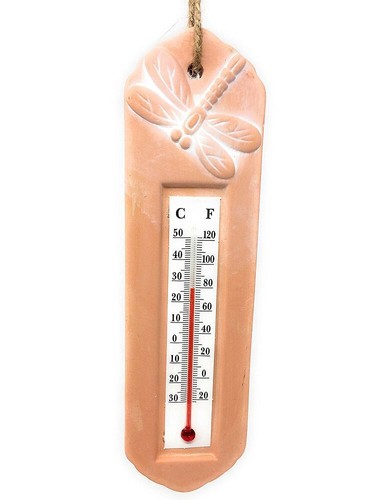 Outdoor Thermometer Terra Cotta - Dragonfly | eBay