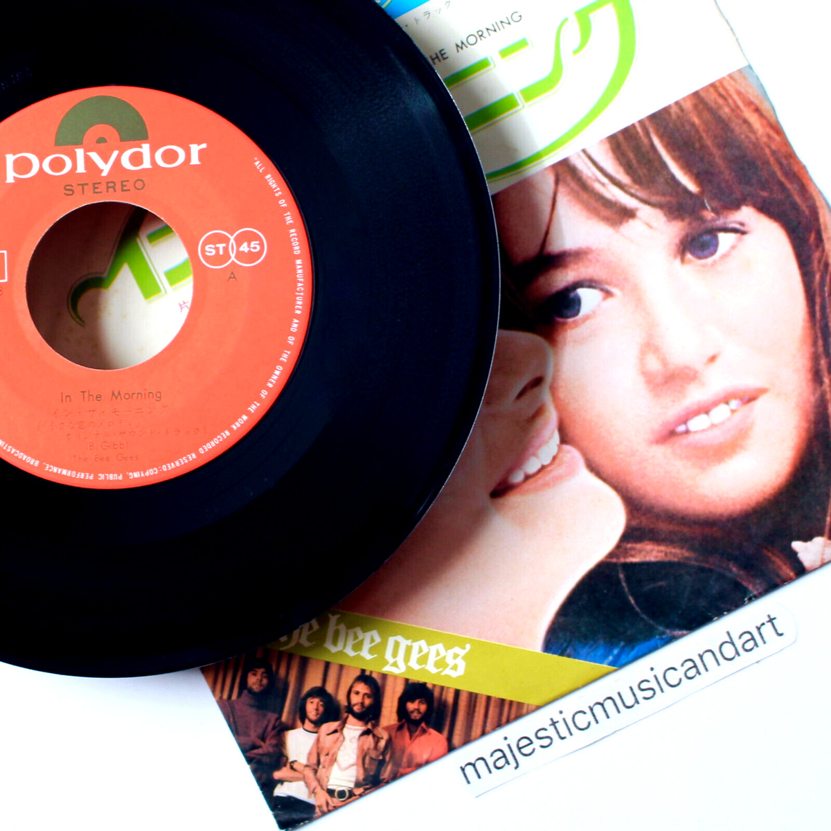 Shane Bee's Instagram, Twitter & Facebook on IDCrawl